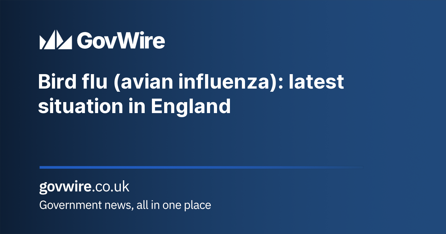 Bird flu (avian influenza): latest situation in England | GovWire ...